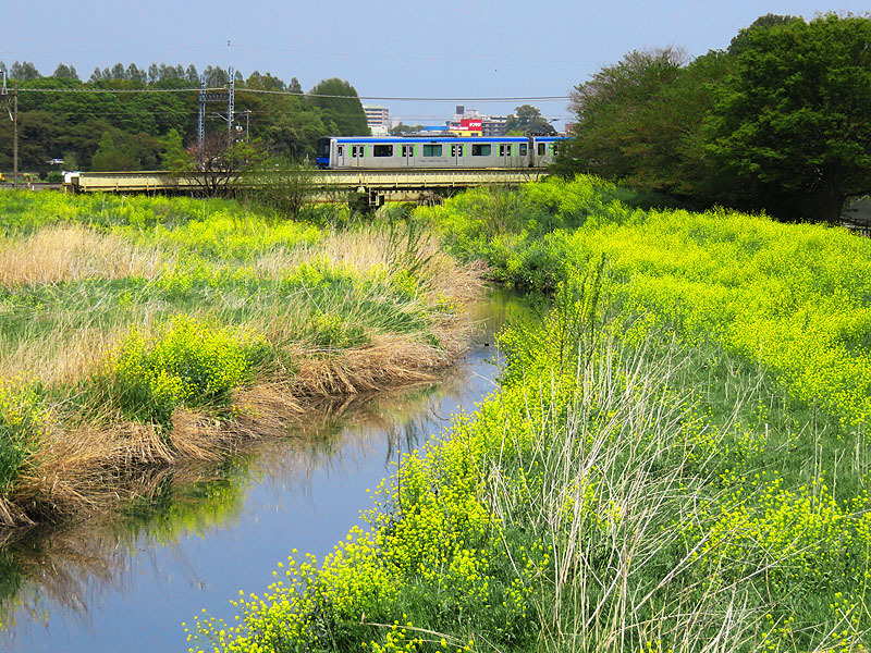 郷土の春4: JNR-M